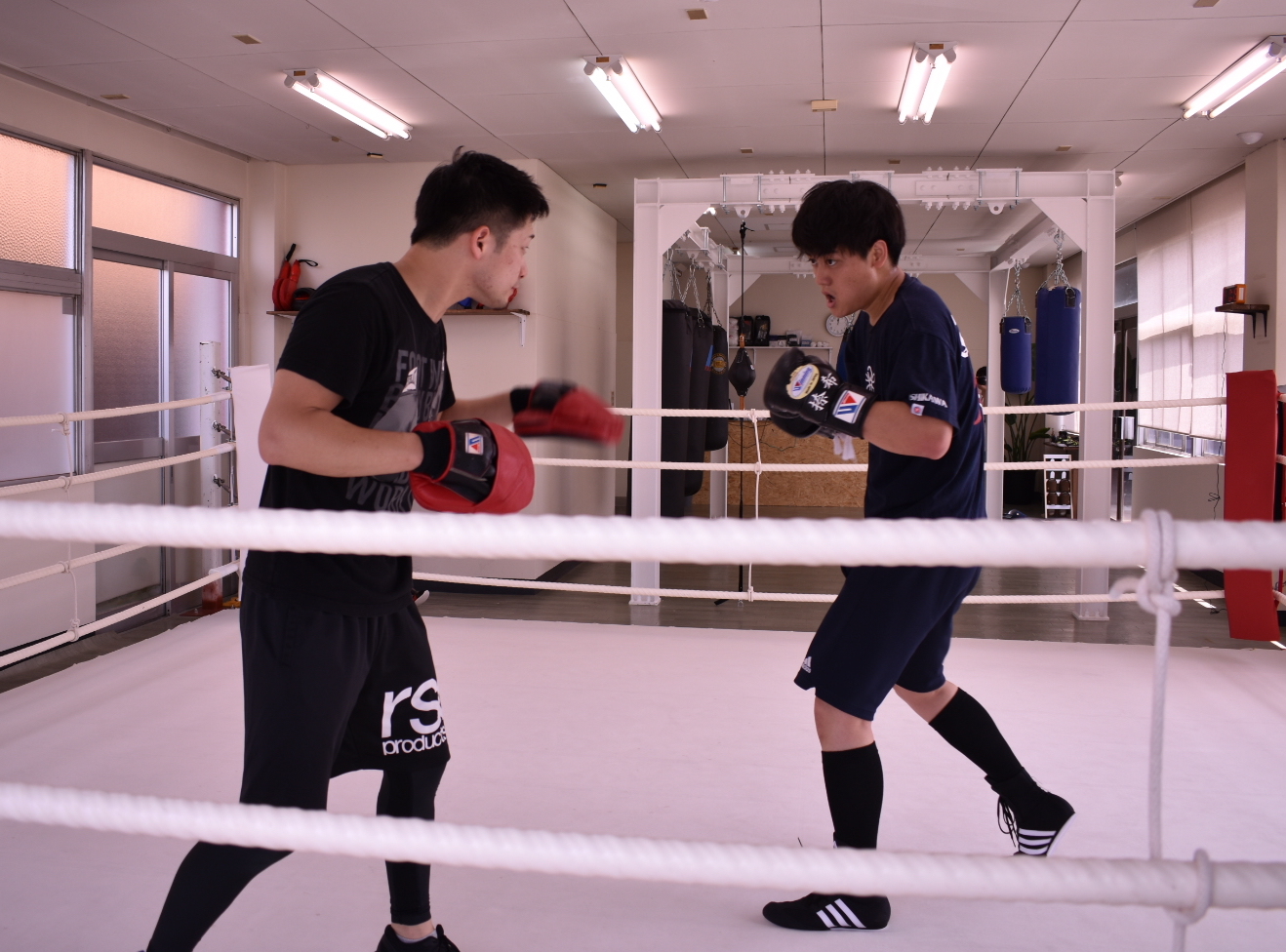 Boxing&Fitness Gun-gym - マッスルパーク[MUSCLE PARK]